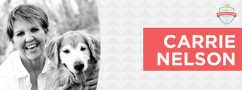 Moda Cake Mix Recipes | 10 Inch Layer Cake Quilt Patterns