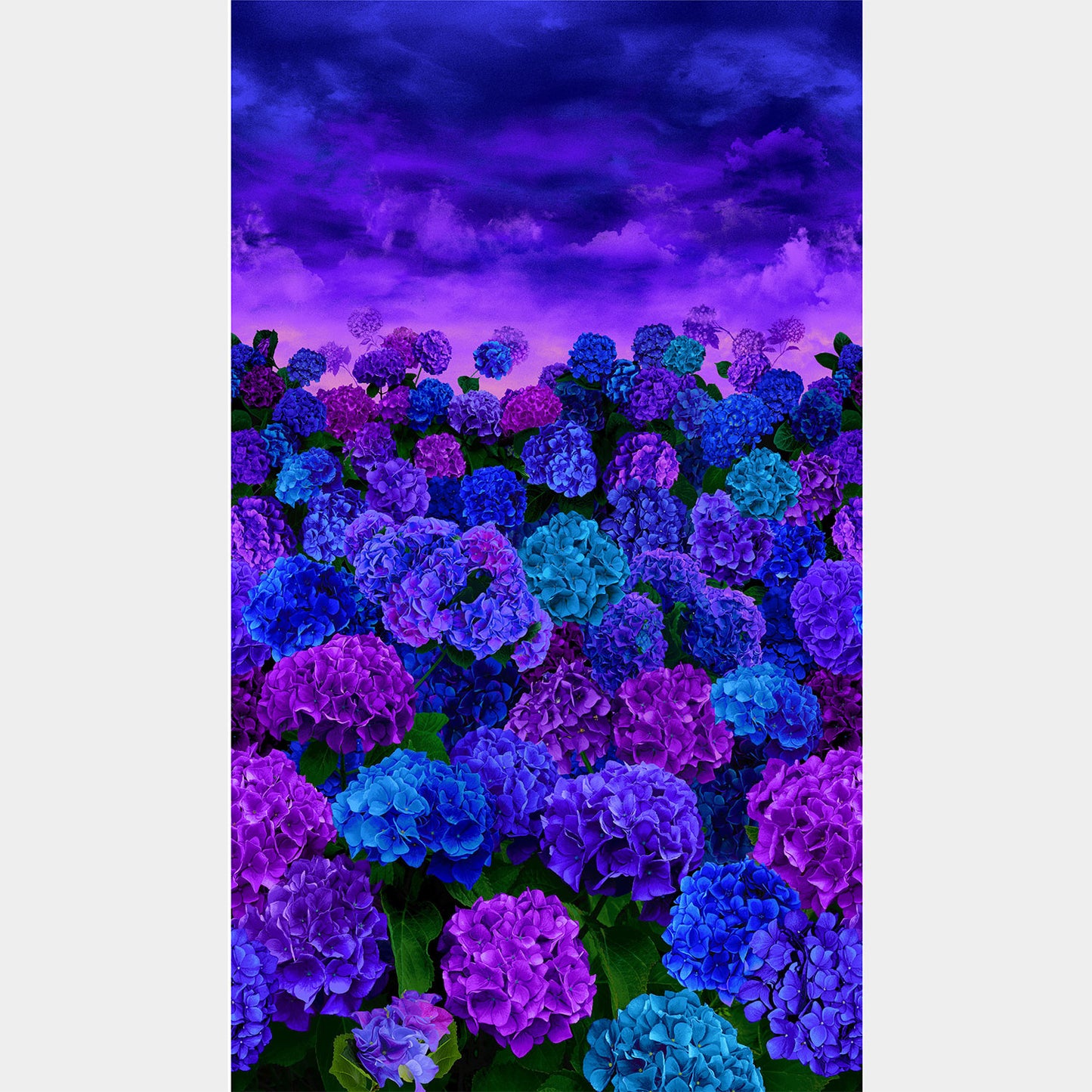 Midnight Bloom - Hydrangeas at Dusk Bloom Panel