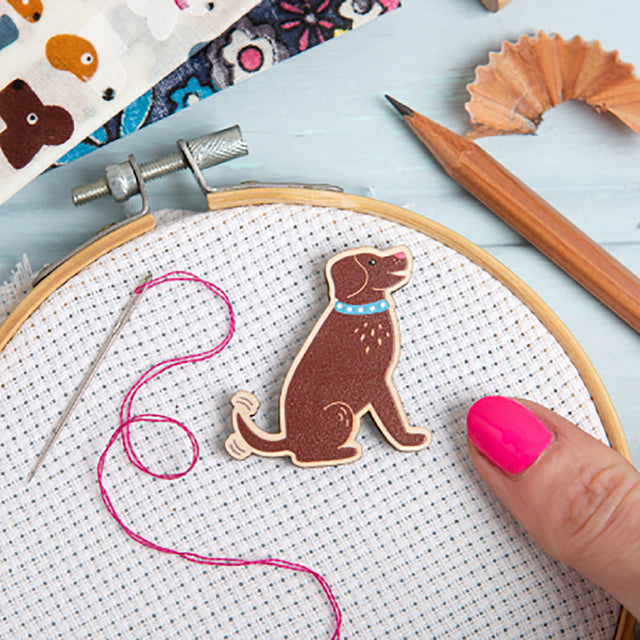 Dog Magnetic Needle Minder