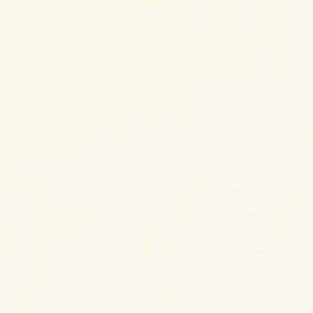 American Made Brand Cotton Solids - Cream Yardage