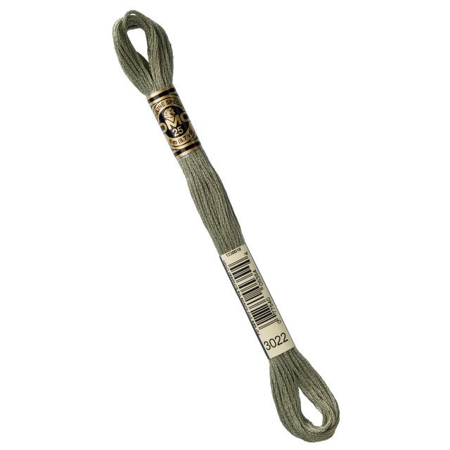 DMC Embroidery Floss - 3022 Medium Brown Gray