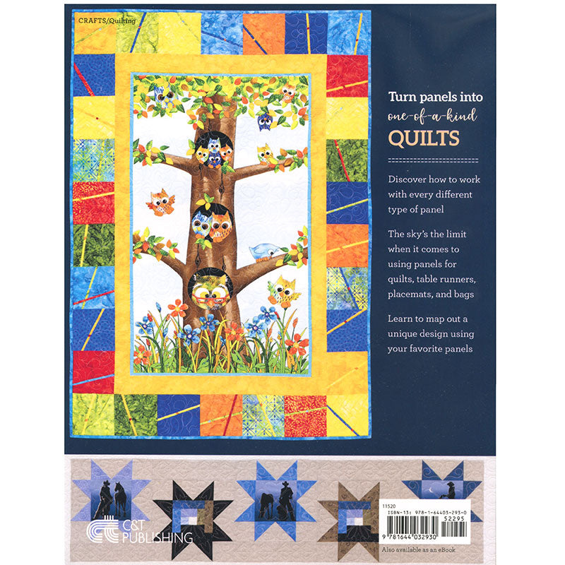 Fun with Panels Book