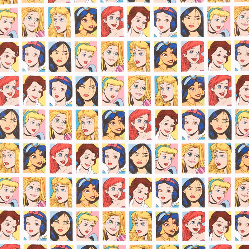Who Are All The Disney Princesses