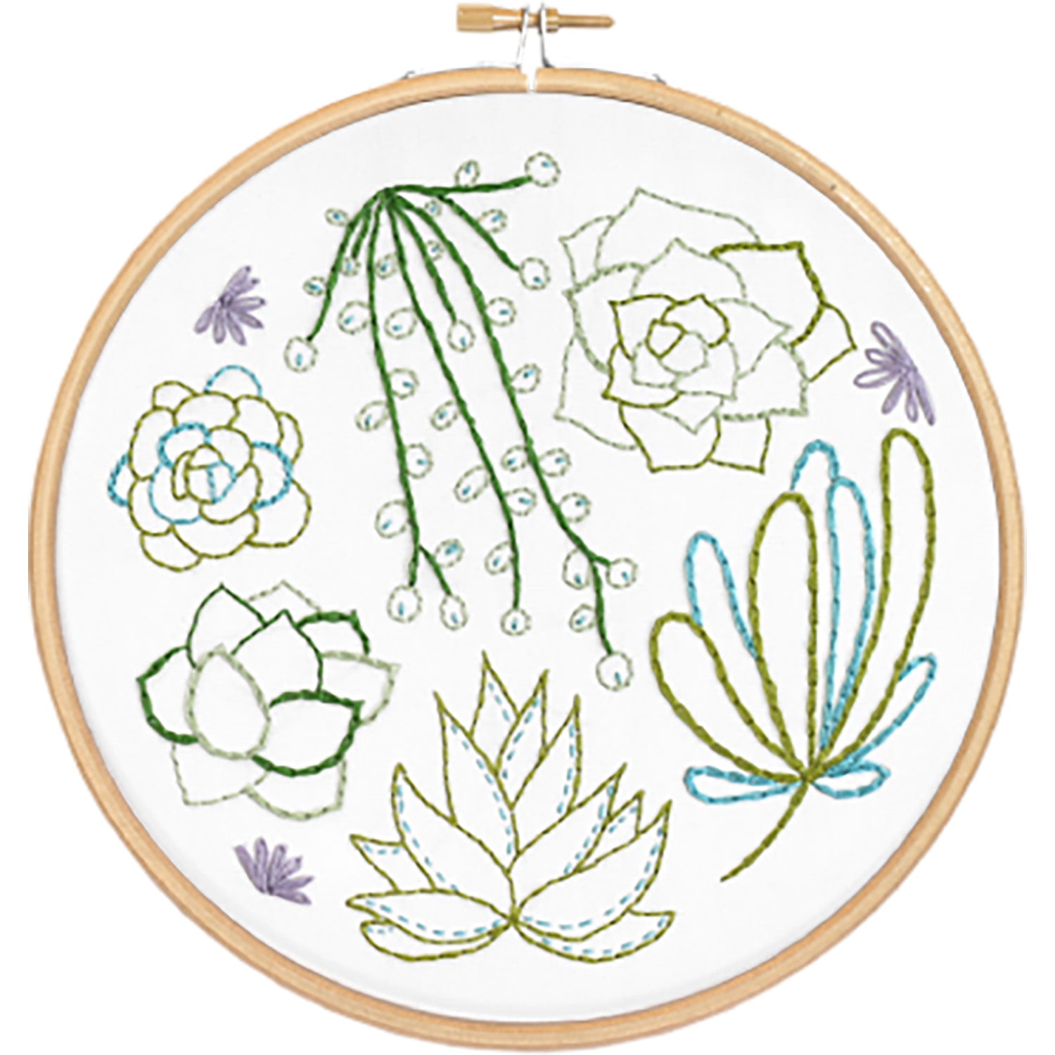 Succulents Embroidery KIt