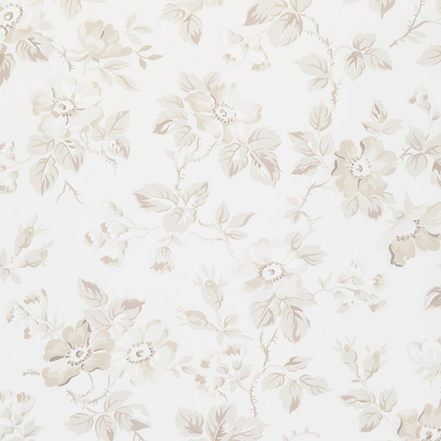 Midnight Garden - Floral Putty 108" Wide Backing