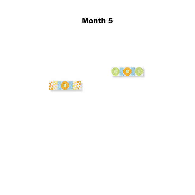 The Piecemaker Block of the Month