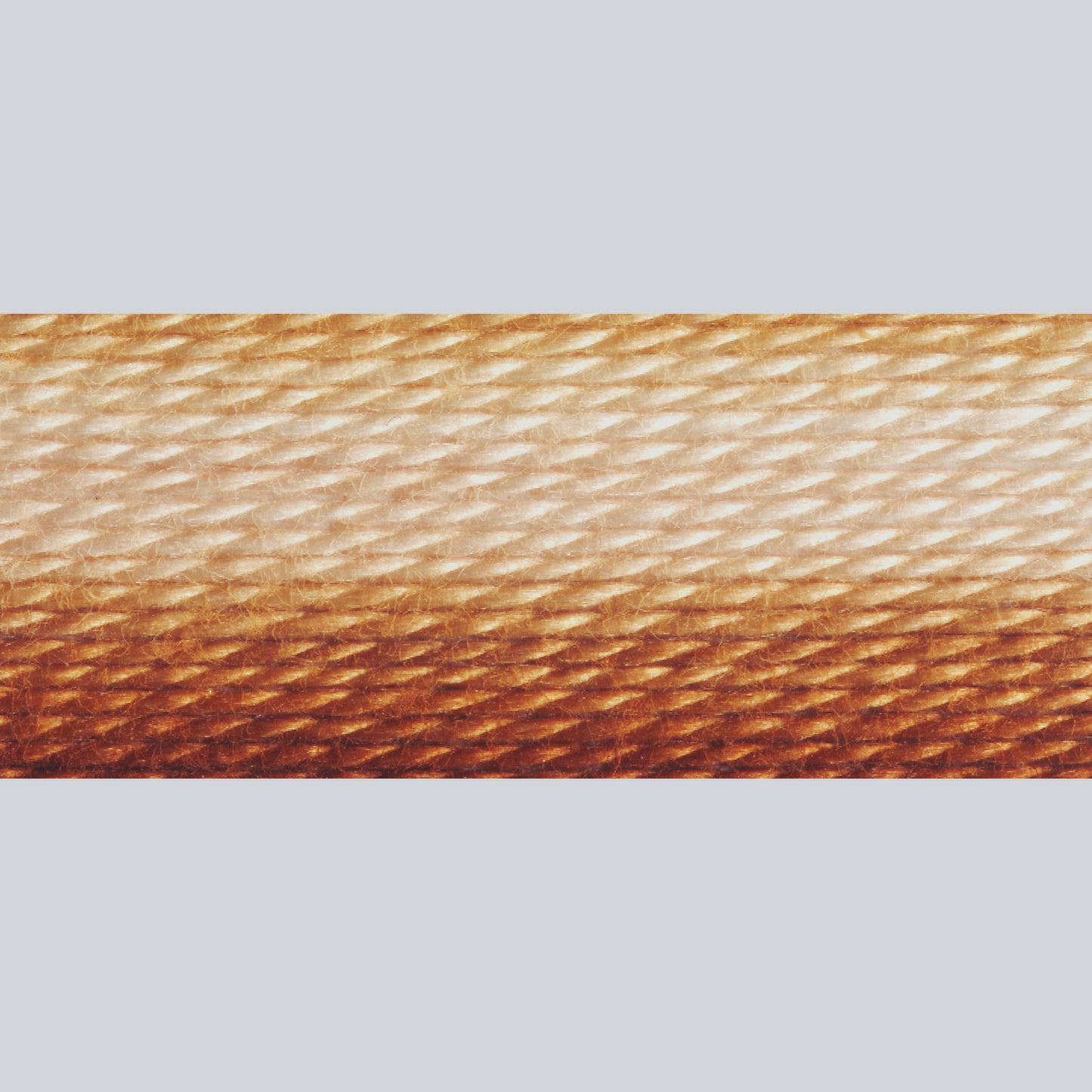 DMC Embroidery Floss - 105 Variegated Tan/Brown