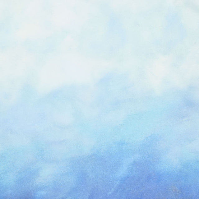 Sky Wide - Ombre Sky 108" Wide Backing