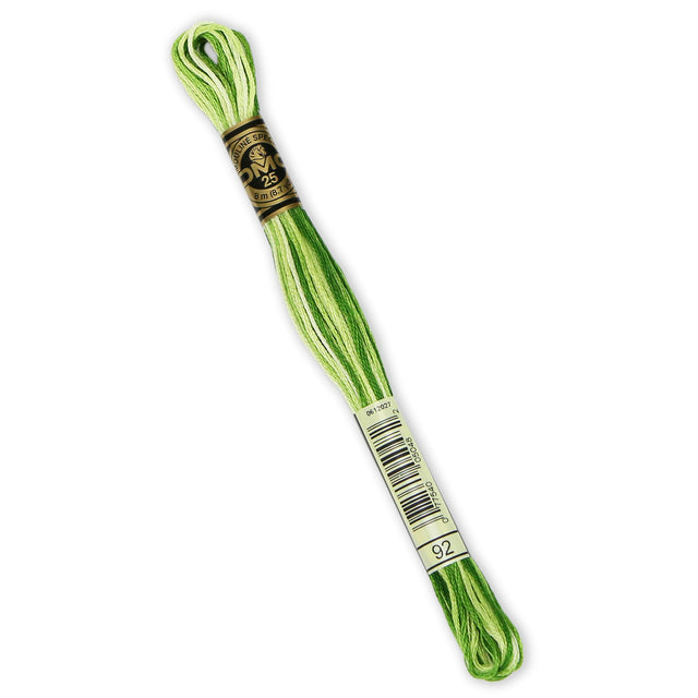 DMC Embroidery Floss - 92 Variegated Avocado
