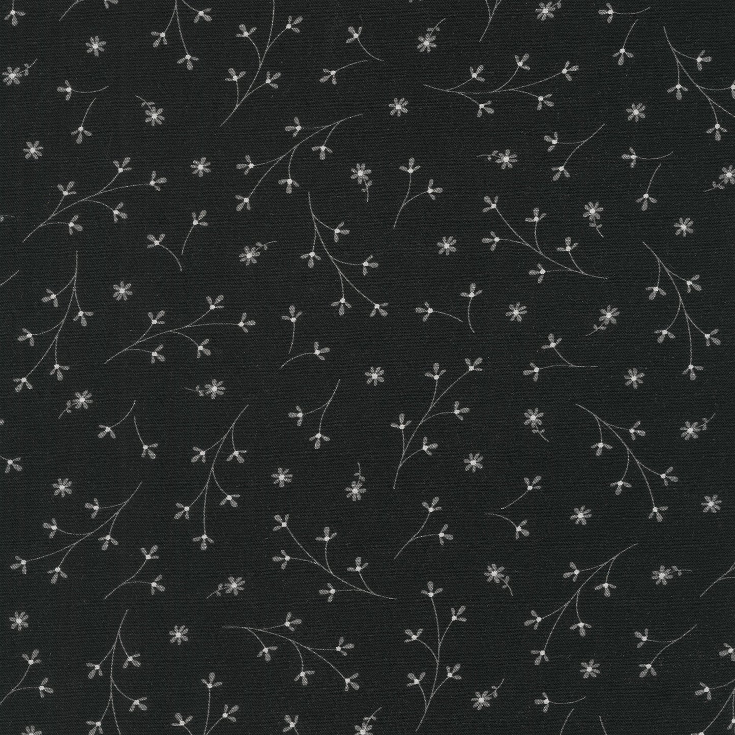 Kimberbell 108" Quilt Backing - Pretty Petals Black 108" Wide Backing