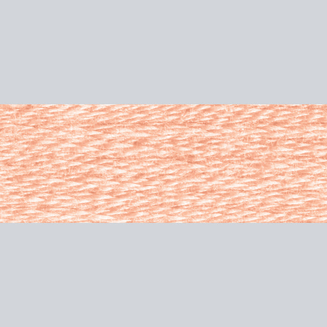 DMC Embroidery Floss - 754 Light Peach