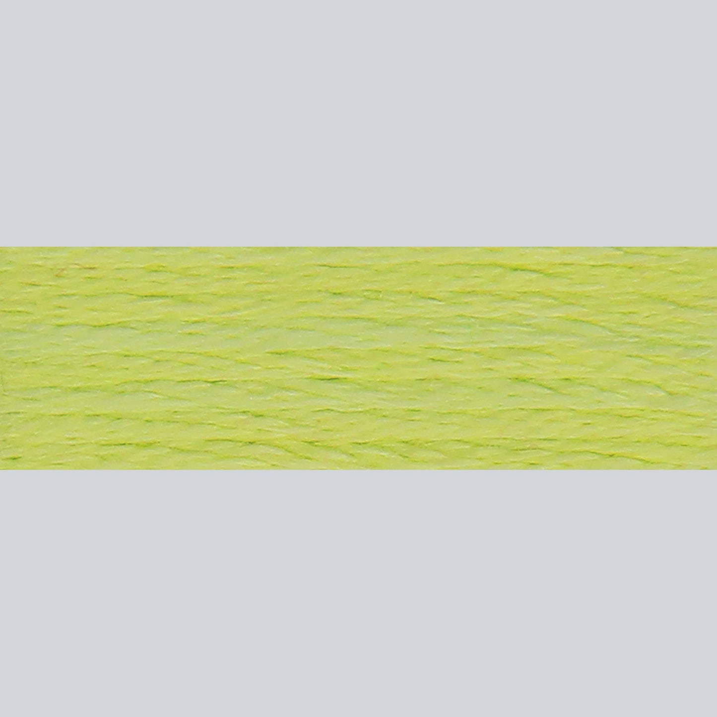 DMC Embroidery Floss - 15 Apple Green