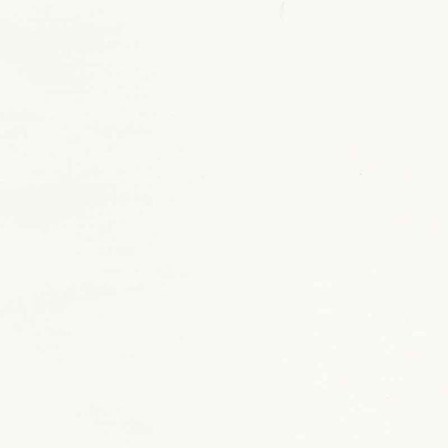 American Made Brand Cotton Solids - Light Cream Yardage