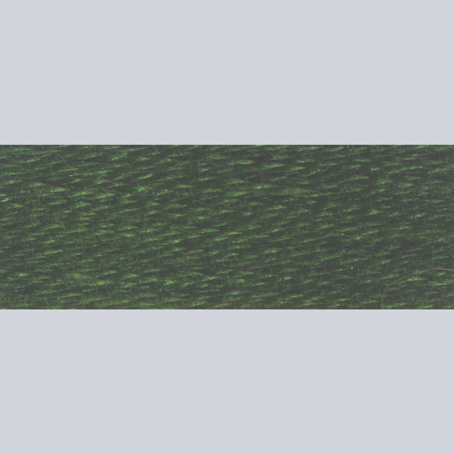 DMC Embroidery Floss - 934 Black Avocado Green