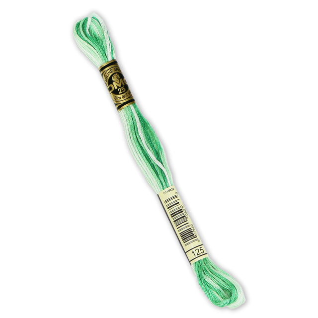 DMC Embroidery Floss - 125 Variegated Seafoam Green