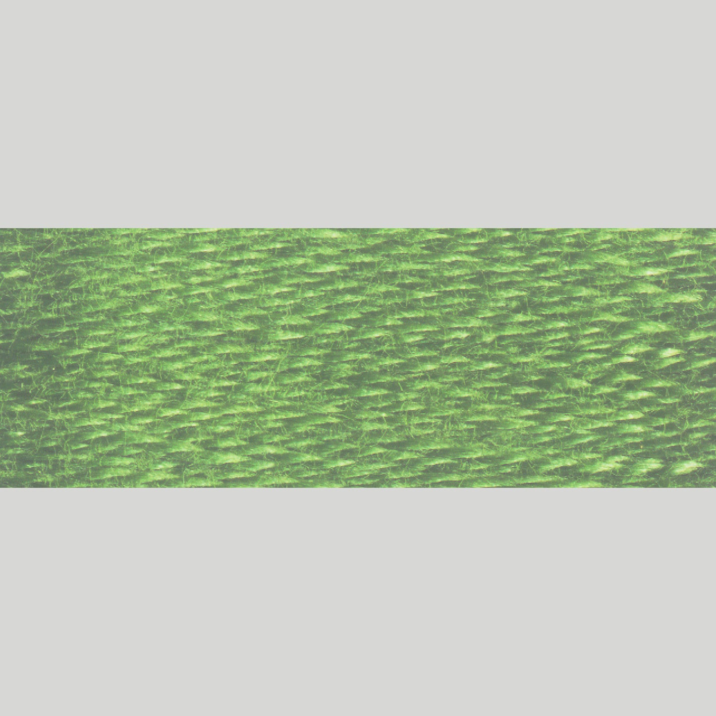 DMC Embroidery Floss - 3363 Medium Pine Green