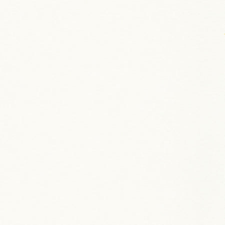 Flannel Solid - Ivory Yardage