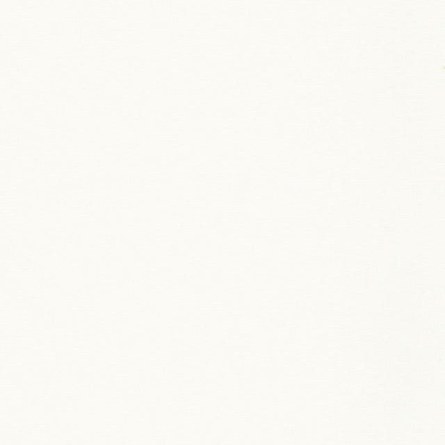 Flannel Solid - Ivory Yardage