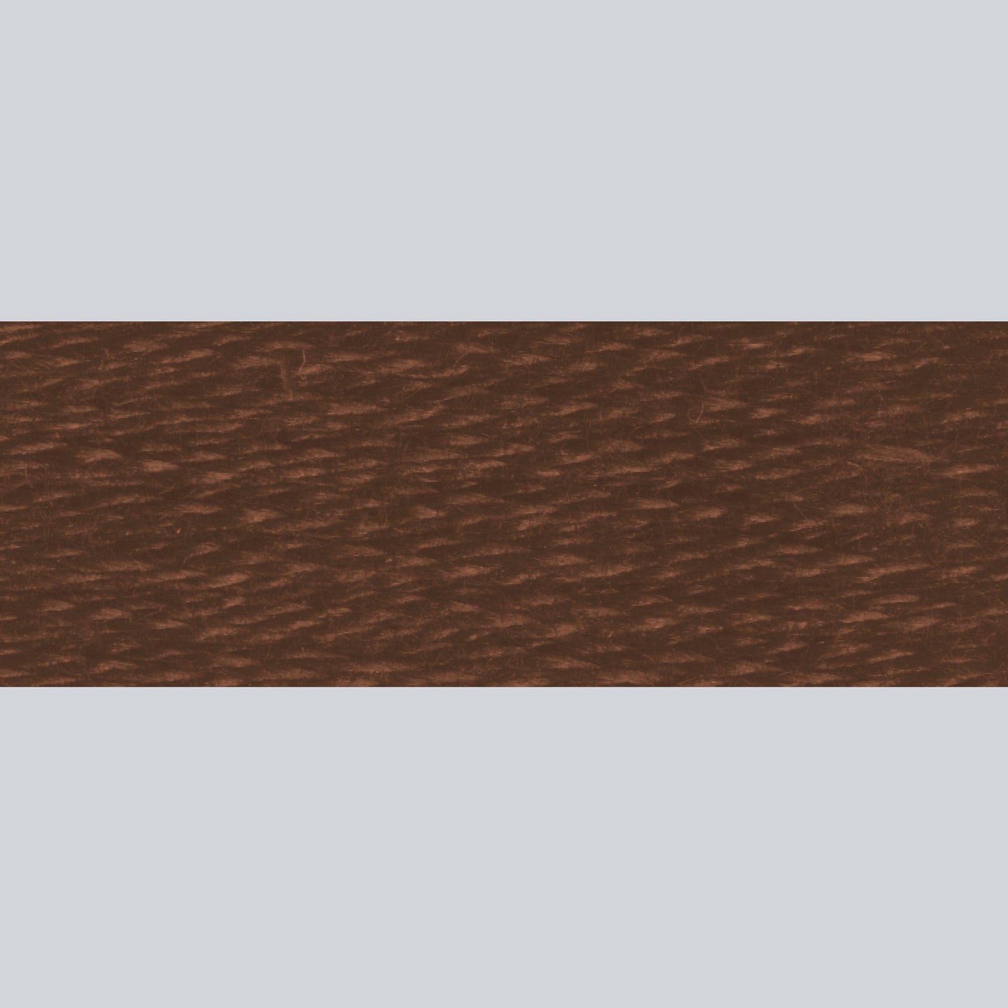 DMC Embroidery Floss - 838 Very Dark Beige Brown