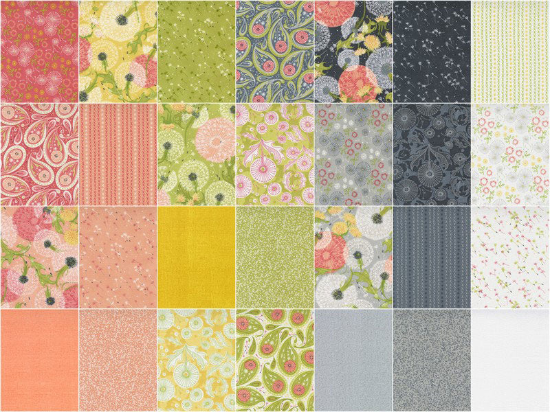 Dandi Duo Jelly Roll