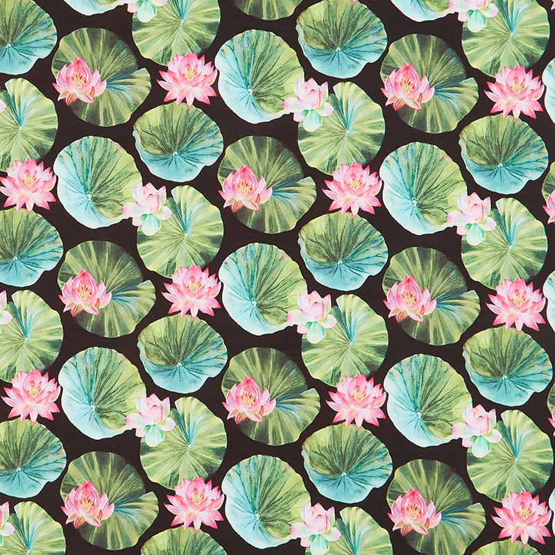 Beautiful Lily Pads