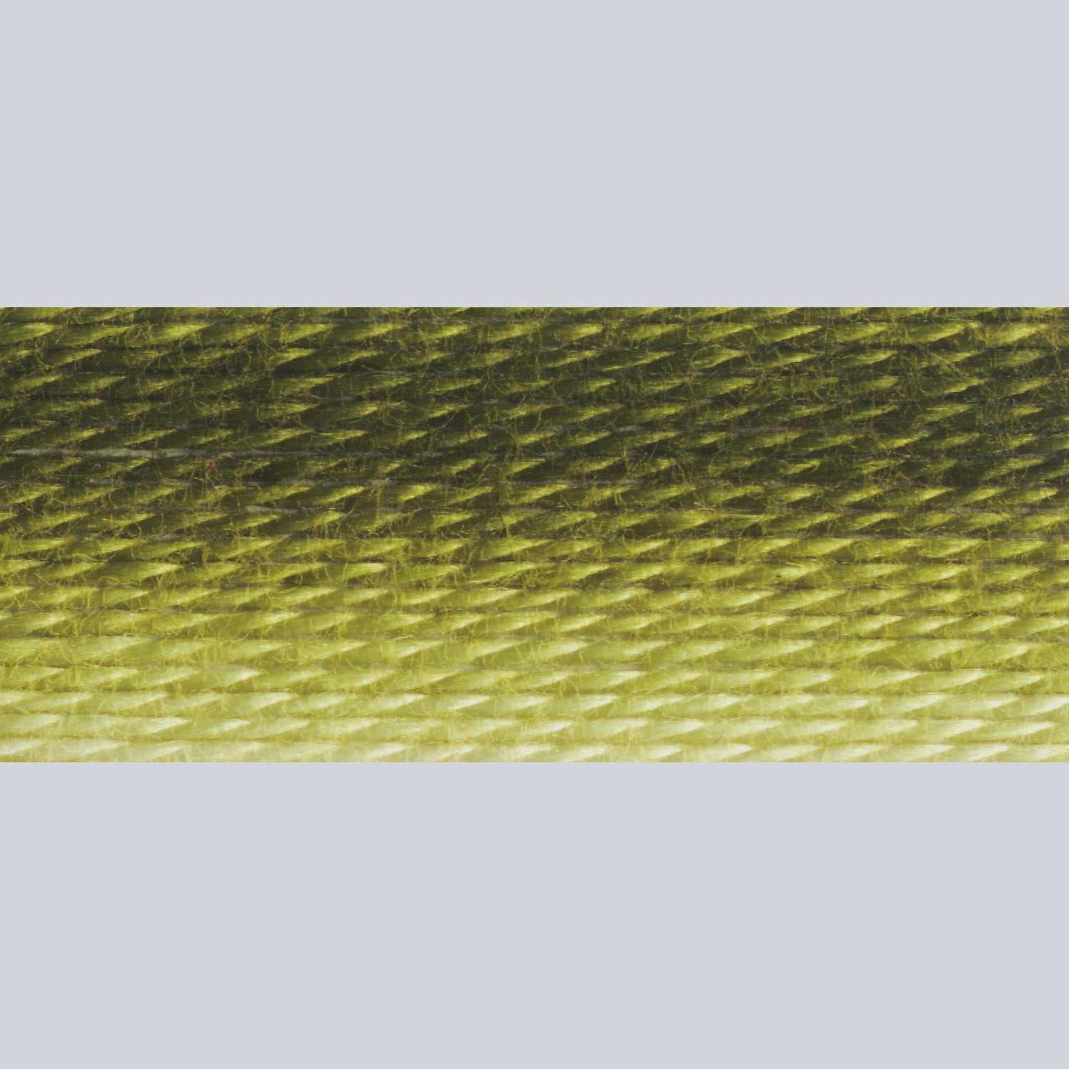 DMC Embroidery Floss - 94 Variegated Khaki Green