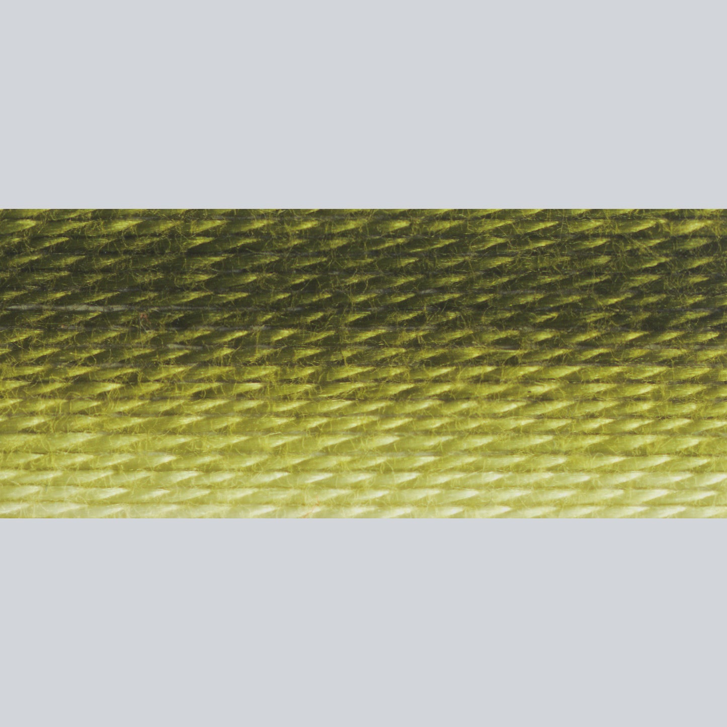 DMC Embroidery Floss - 94 Variegated Khaki Green