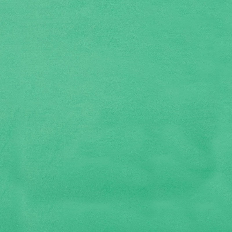 Cuddle® Solids - Kelly Green 60" Minky Yardage