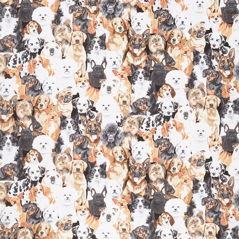 Dogs - Packed Realistic Dogs Multi Yardage