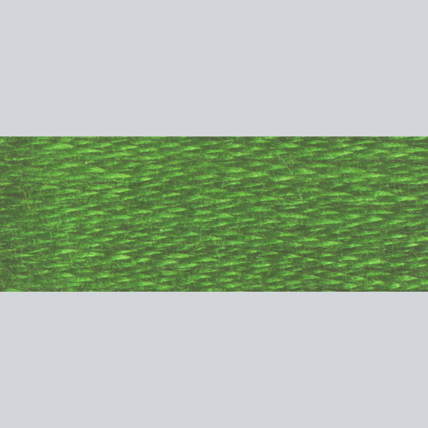 DMC Embroidery Floss - 987 Dark Forest Green