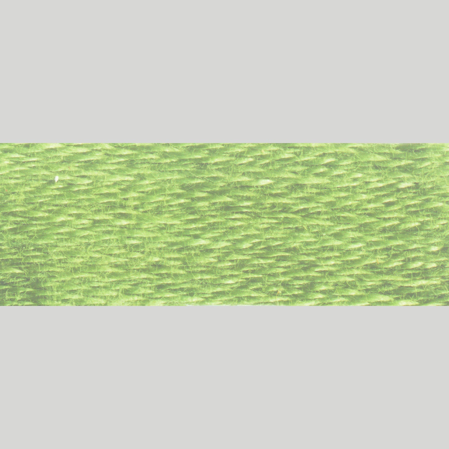 DMC Embroidery Floss - 3364 Pine Green