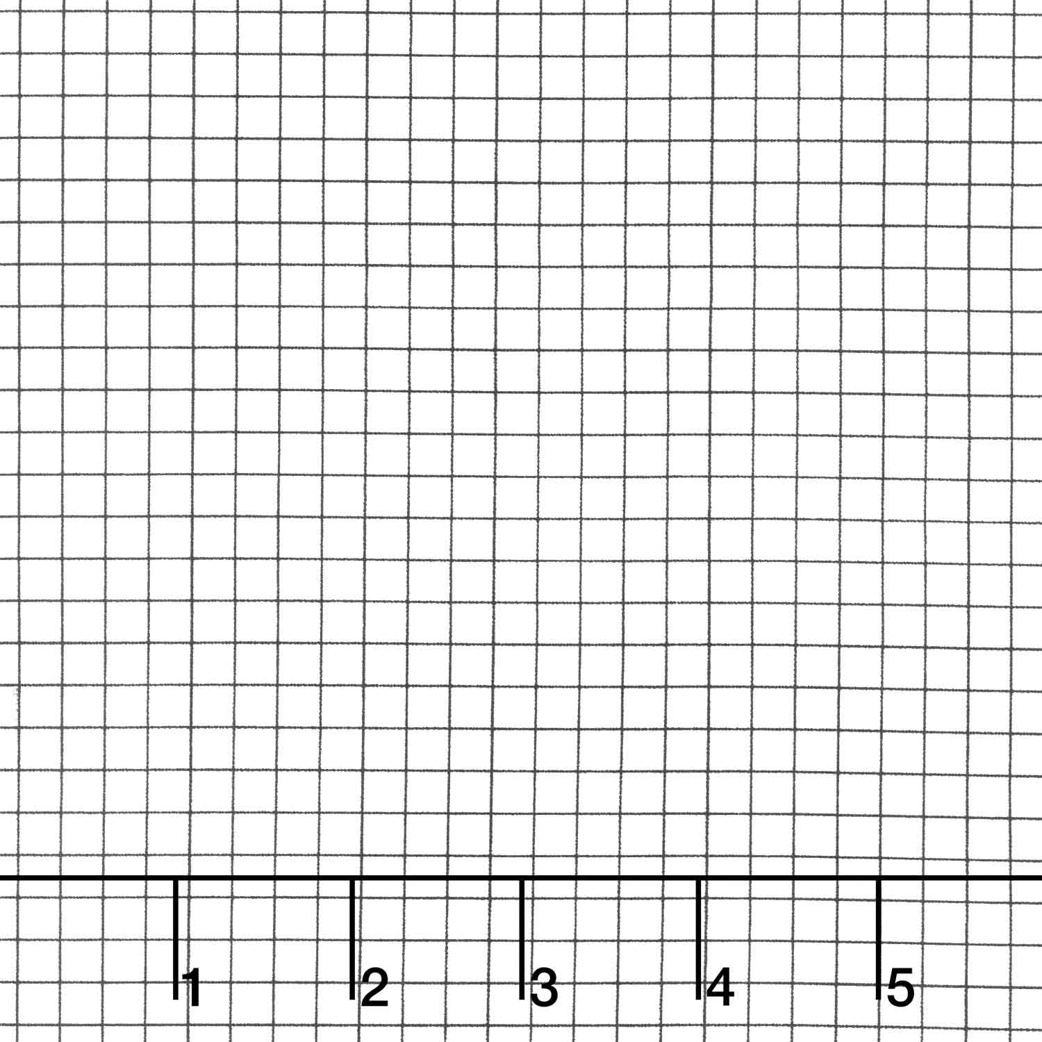 Blank Graph Paper 10x10