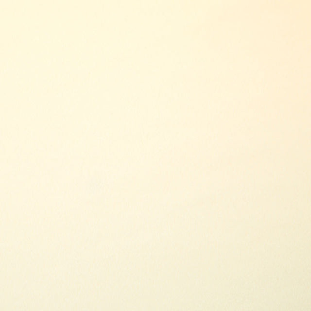 Winterfleece Solids - New Ivory Yardage